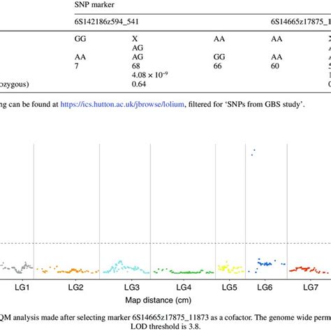 SNP Genotypes Of Parents And F 1 And F 2 Segregation Ratios For The Two Download Scientific