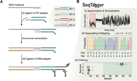 New Software Makes Makes Single Cell Rna Seq Analysis And Visualization Easier Rna Seq Blog