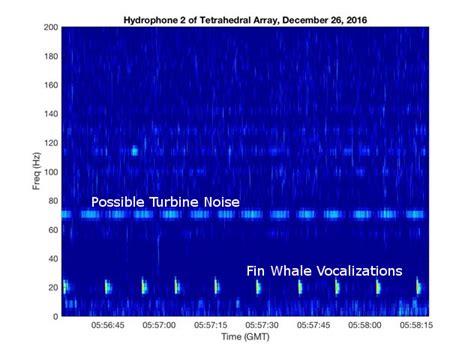 Signal Processing Discovery Of Sound In The Sea