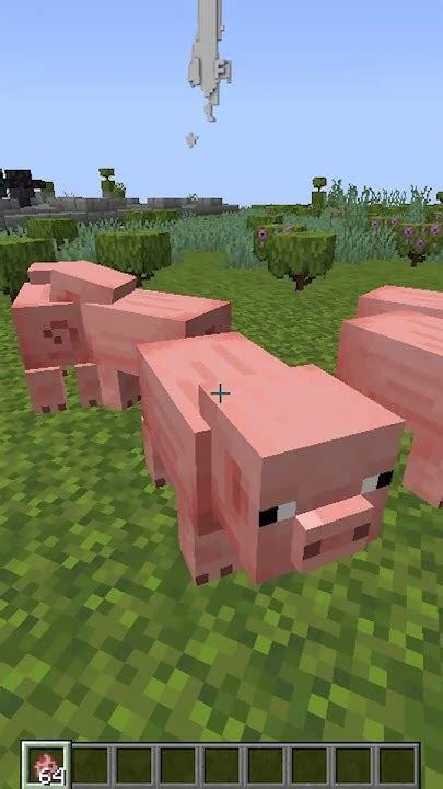 به بازی تغییر سایز و انجماد زمان اضافه شده🤯🧊 Youtube