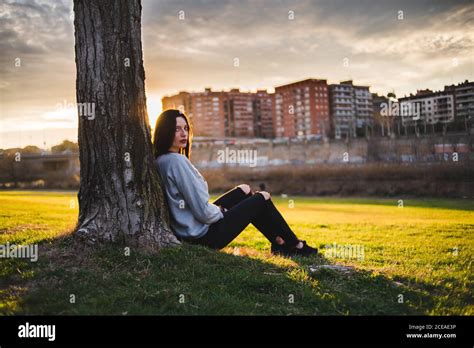 Woman Under Tree In Sunlight Stock Photo Alamy