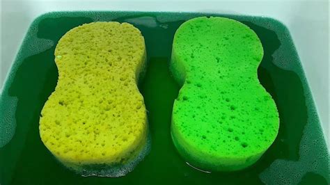 Squeeze Out The Sponge At Angela Rich Blog