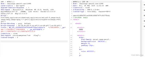 青少年ctf Php的后门 Csdn博客