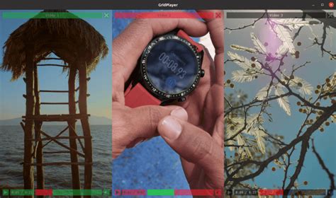 Install Gridplayer On Arch Linux Using The Snap Store Snapcraft