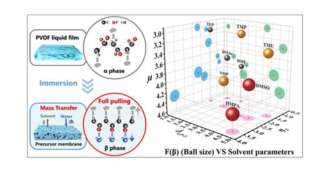 Insights Into Polymorphic Transition Of Pvdf During Nonsolvent Induced