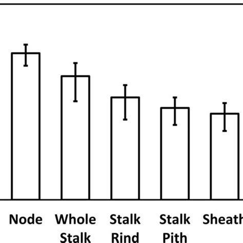 Mean Values Of Mass To Area Ratios For Anatomical Fractions Of Corn Download Scientific Diagram