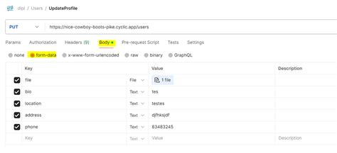 Perbedaan Body Request Form Data Dan Raw Json Di Postman By Fidaa