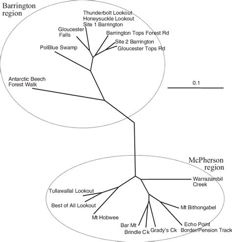 Dendrogram Of Upgma Cluster Analysis Constructed By Using Pairwise φ St