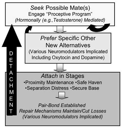 Miller Et Al Universal Sex Similar Systems Of Mechanisms Afford Download Scientific