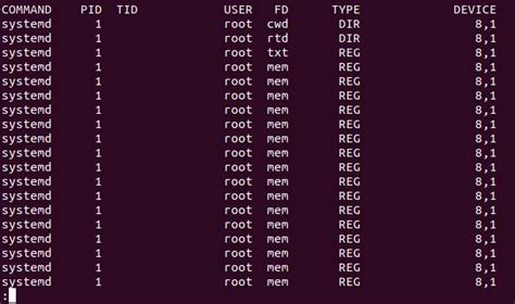 how to use the linux lsof command
