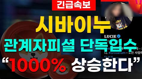 긴급속보 시바이누 마케팅담당자 소식 단독입수 1000 급등한다 시바이누코인 시바이누분석 시바이누전망 시바이누코인전망 Youtube