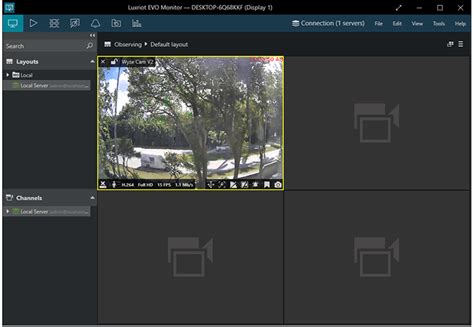 How To View Multiple Wyze Cameras At Once Real Scenario No Fluff