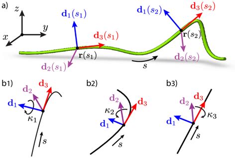 Kinematics Of The Cosserat Rod In The Global Cartesian Frame X Y Z Download Scientific