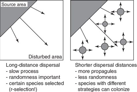The Biological Legacy Or Ecological Memory Present In Or Near A