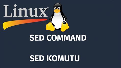 Örneklerle Linuxta Sed Komutu Nasıl Kullanılır Linux Data Linux