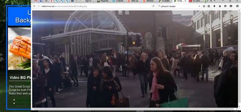 Utubebg Youtube Background Video Php Script By Nelliwinne Codester