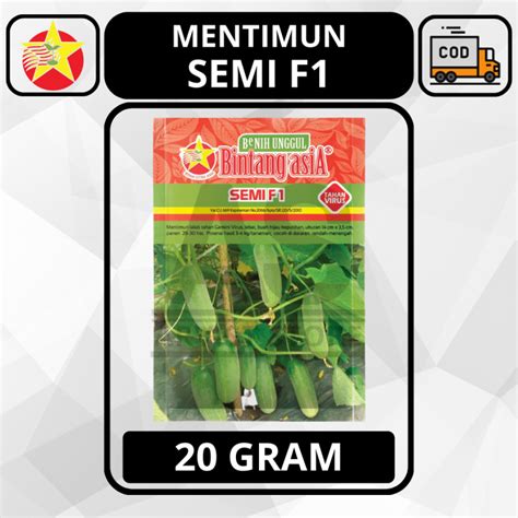 Benih Bibit Mentimun Semi F1 Kemasan Pabrik 20 Gram Biji Bintang Asia Lazada Indonesia