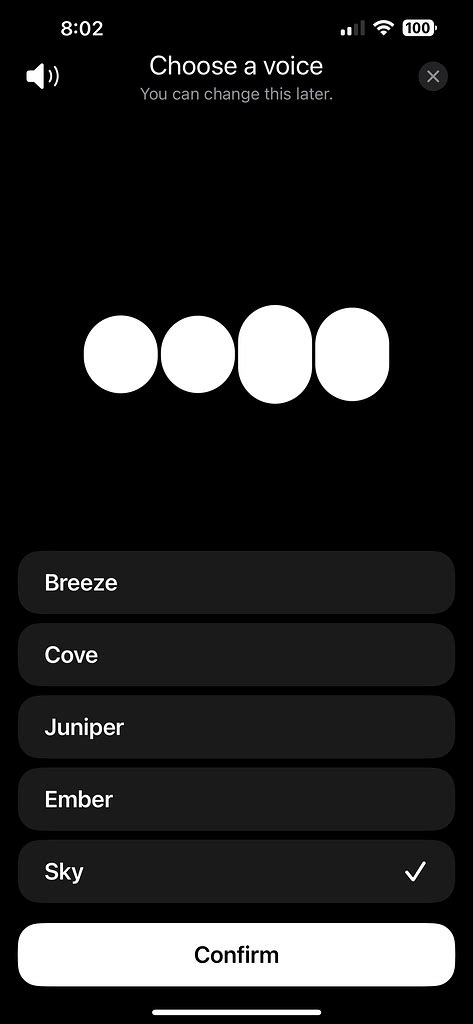 reporting bug incorrect voice chat bugs openai developer community