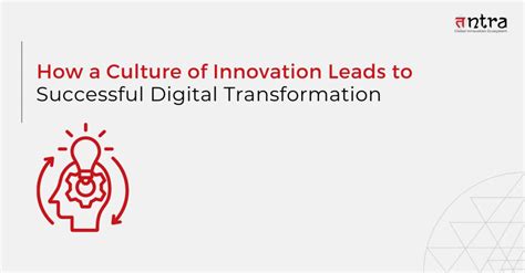How A Culture Of Innovation Leads To Successful Digital Transformation Tntra