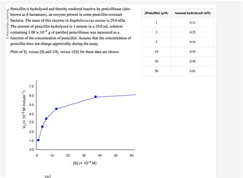 Penicillin Is Hydrolyzed And Thereby Rendered