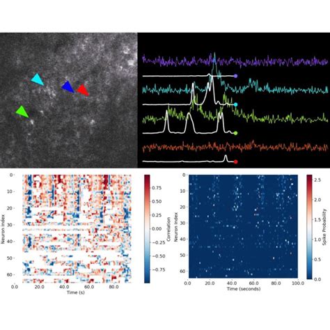 Wasserstein Distance Via Entropy Regularization Sinkhorn Algorithm
