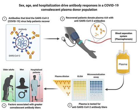 Jci Sex Age And Hospitalization Drive Antibody Responses In A Covid