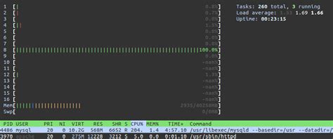 Htop How Can A Single Thread Use 200 Cpu Usage Unix And Linux Stack