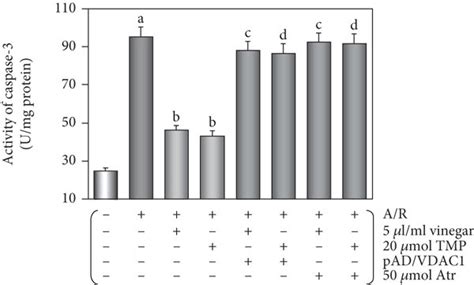 Protective Effects Of Vinegartmp Pretreatment For Cardiomyocyte Download Scientific Diagram