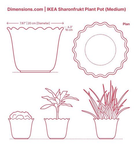 The Pot Plan With Pot Shaped Detail Dwg File Artofit