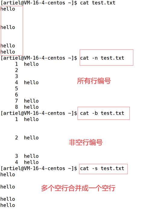 Linux基础命令：文件操作、重定向与文本处理 Csdn博客