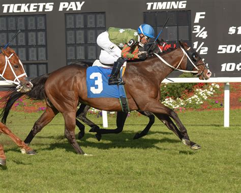 Smithwicks Spice Pulls Of Pleasant Surprise With Turf Dash Victory
