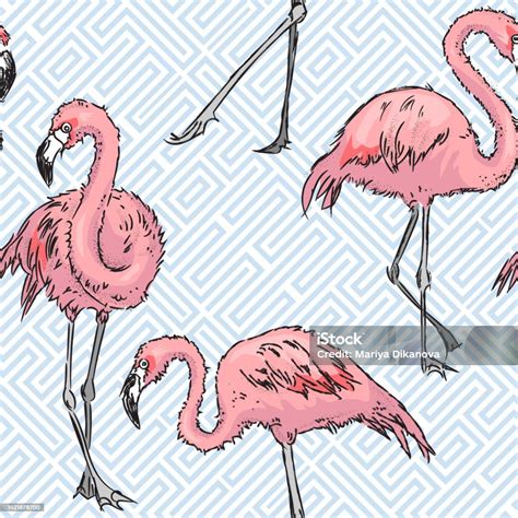 손으로 그린 플라밍고가있는 완벽한 패턴 벡터 일러스트 레이 션 0명에 대한 스톡 벡터 아트 및 기타 이미지 0명 귀여운 낙서 드로잉 Istock