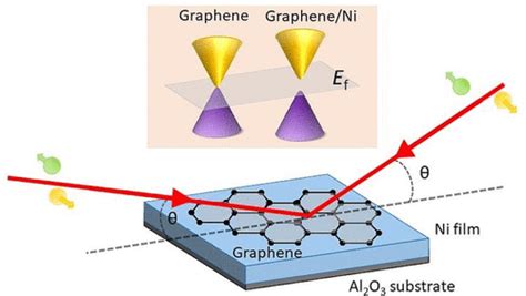 Determining The Proximity Effect Induced Magnetic Moment In Graphene By Polarized Neutron
