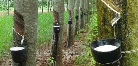 អត្ថបទថ្មីៗ ចុងក្រោយ