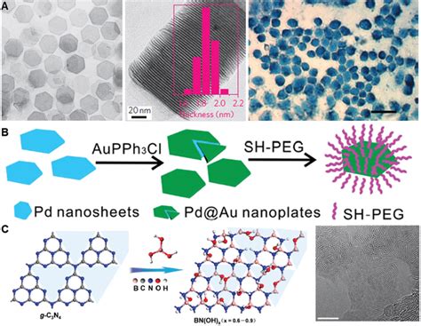 Other 2d Nanomaterials For Cancer Theranostics A Ultrathin 2d Download Scientific Diagram