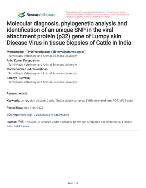 Pdf Molecular Diagnosis Phylogenetic Analysis And Identification Of
