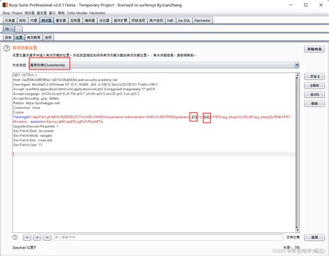 【服务端 sql注入】 17个实验（全） 云社区 华为云