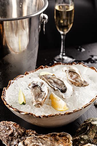 프로세코 바 컨셉 오픈 굴은 레몬과 라임으로 분쇄 된 얼음 위에 놓여 있으며 샴페인 한 잔 옆에 있습니다 배경 이미지입니다 공간을 복사합니다 굴에 대한 스톡 사진 및 기타