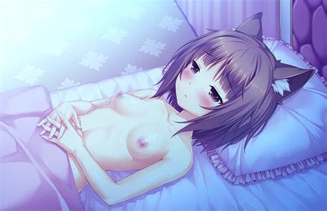 Azuki Nekopara Drawn By Sayori Neko Works Danbooru