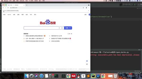 11 3 第一个selenium程序 youtube