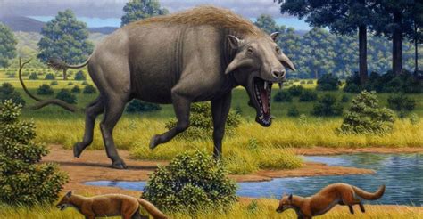 Fun Facts About Daeodon The Giant Entelodont With A Mighty Bite