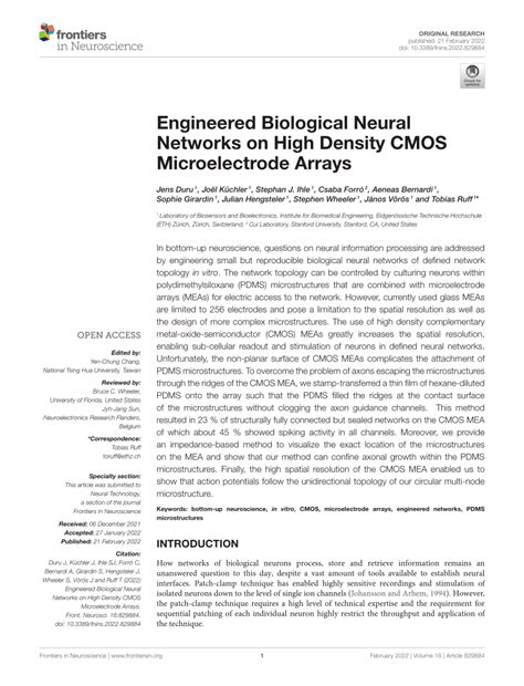 Pdf Engineered Biological Neural Networks On High Density Cmos