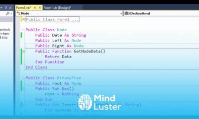 Learn Binary Tree 4 Object Oriented Implementation In VB NET Mind Luster