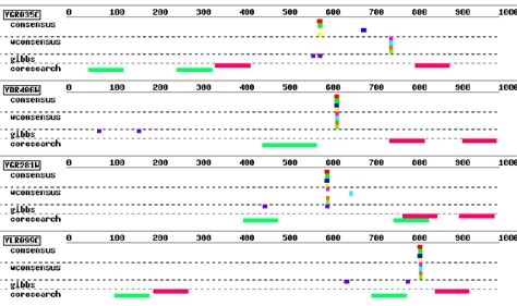 Graphical View Of The Extracted Consensus Motifs Download Scientific