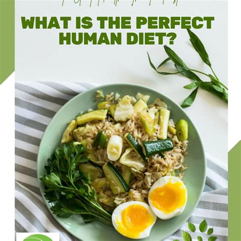 What Is The Perfect Human Diet Orchard Park Public Library Presents