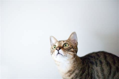 Why Dilution Sneaks Up On Some Startup Founders Openview Labs