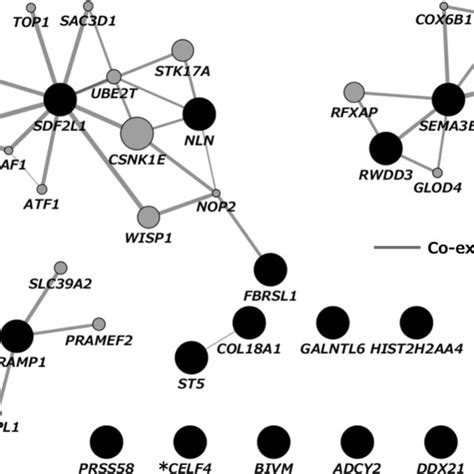 Gene Network Analysis Using Genemania Dark Circles Represent Genes