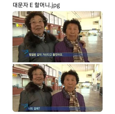 대문자 E 할머니 ㅋㅋㅋ 유머 움짤 이슈 에펨코리아