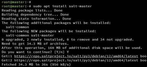 How To Install Saltstack It Automation Framework On Debian 12