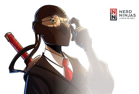 Portfolio Nerd Ninjas